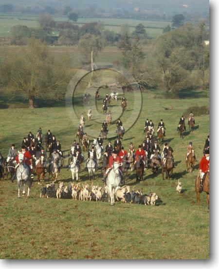 Bob Langrish Equestrian Photographer: Images