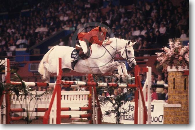 Bob Langrish Equestrian Photographer: Images