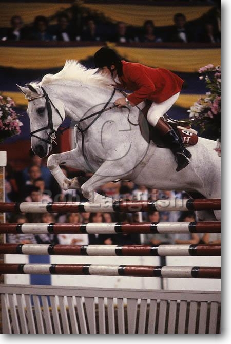 Bob Langrish Equestrian Photographer: Images