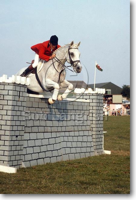 Bob Langrish Equestrian Photographer: Images