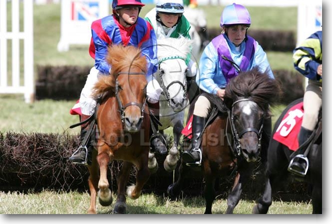 Bob Langrish Equestrian Photographer: Images