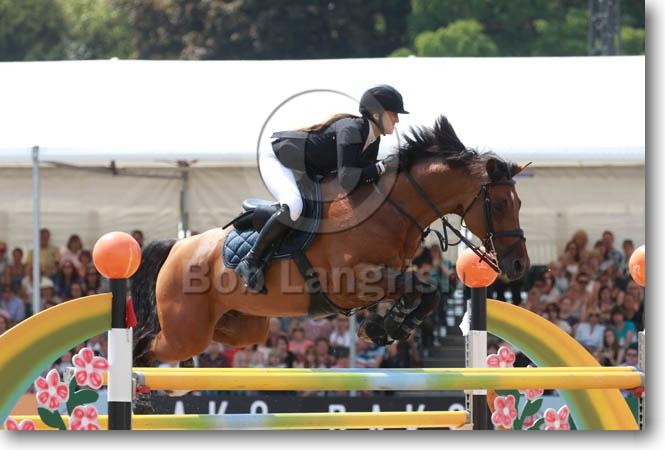 Bob Langrish Equestrian Photographer: Search Results
